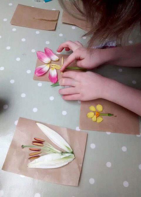 GCSE Science | Prince Tutoring